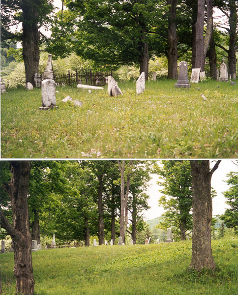 Klock Family Cemetery, Seward, NY